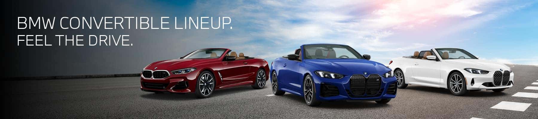 Feel the Drive: Discover the 2025 BMW Convertible Lineup | BMW of ...