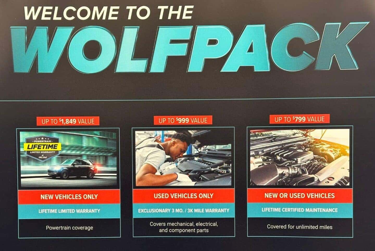 Buy Your Car with Us: Discover the Wolf Pack Advantage | DeLand ...